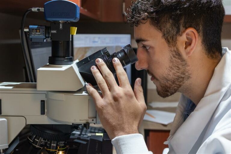 Microscopy Image Analysis Workshop – University Research Week